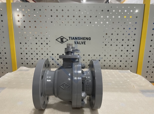 Full Bore Floating Ball Valve - TIANSHENG VALVE