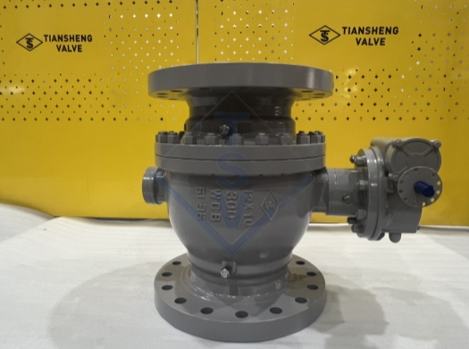 Carbon Steel Reduced Bore Ball Valve - TIANSHENG VALVE