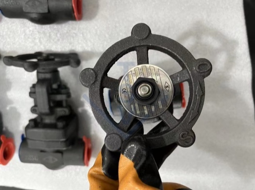 Forged Steel Gate Valve - TIANSHENG VALVE